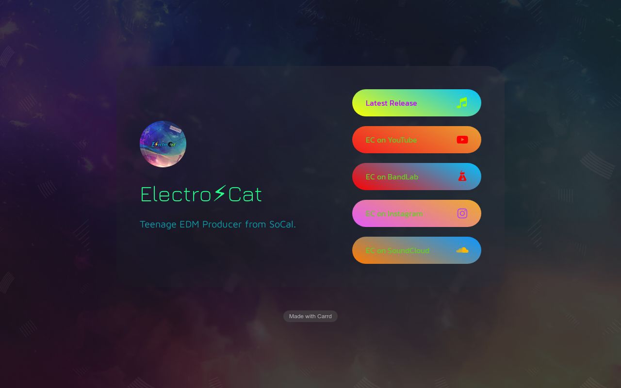 The Electro Cat Hub